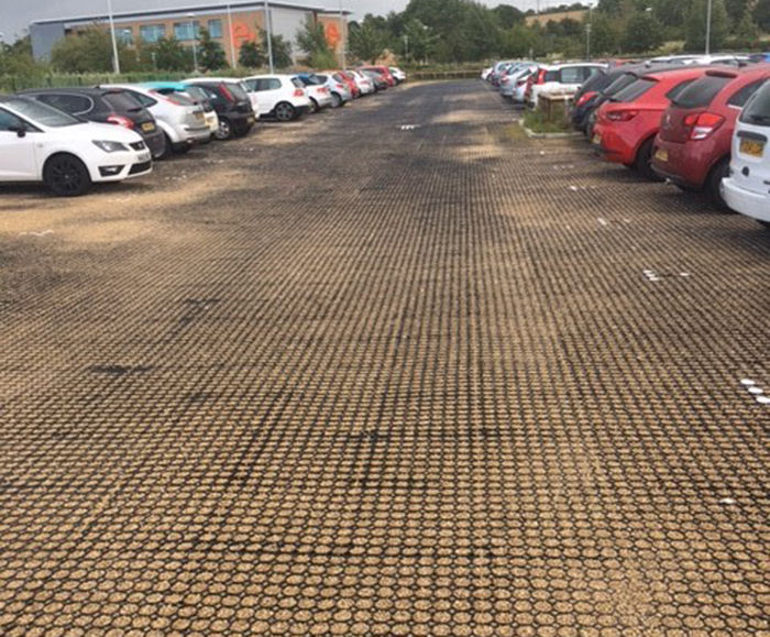 Images for CellPave® 40 Interlocking Cellular Paving Grid