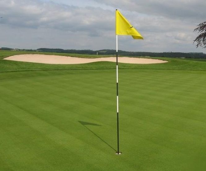 MM Supreme Ryegreen grass seed mix for golf greens and surrounds | DLF ...