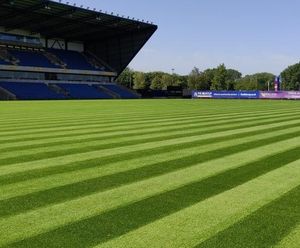 Sports grass seed | EXTERNAL WORKS