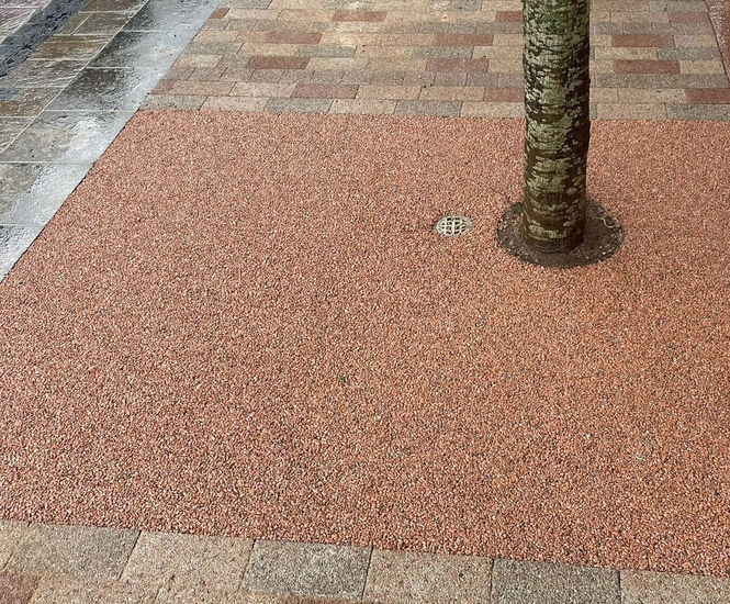 Resin Bound Tree Pit Surfacing | HMS Decorative Surfacing