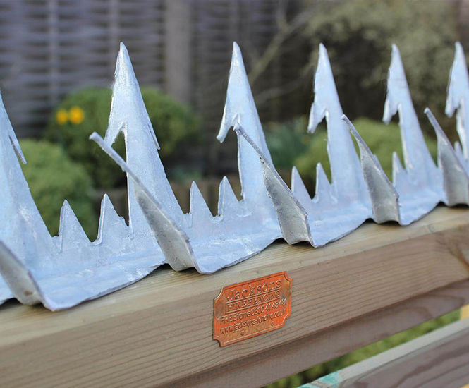 Cobra Spike® security fence / wall / gate topping | Jacksons Fencing