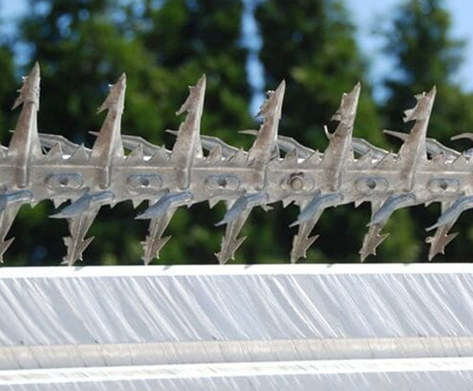 Cobra Spike Rotary security fence / wall topping | Jacksons Fencing