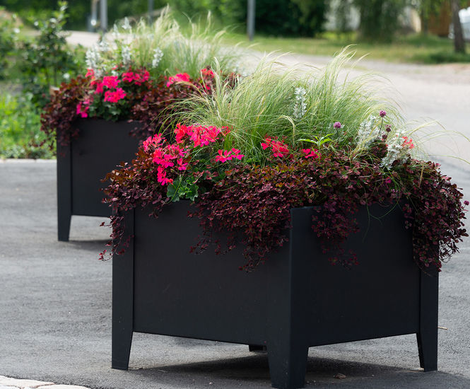 Flox, Low and high - contemporary steel square planters | HAGS Park and ...