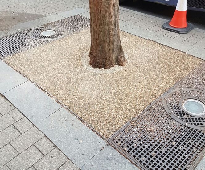 Sudstech SuDS-compliant permeable paving - tree pits | Langford Direct Ltd