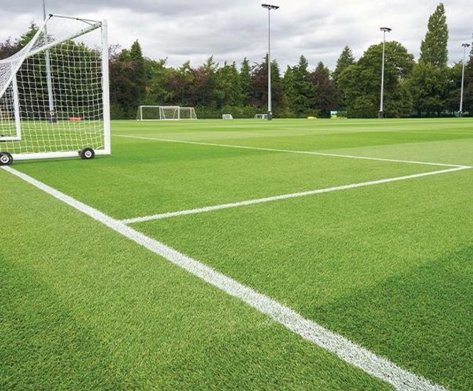 PM 79 Playing Field grass seed mix for sportsfield renovations | DLF Seeds