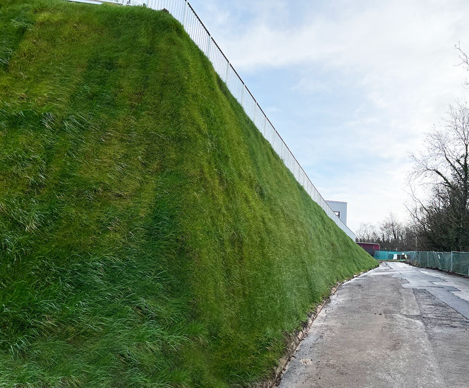 Biotic soil amendment and hydroseeding on a lime-stabilised clay slope ...