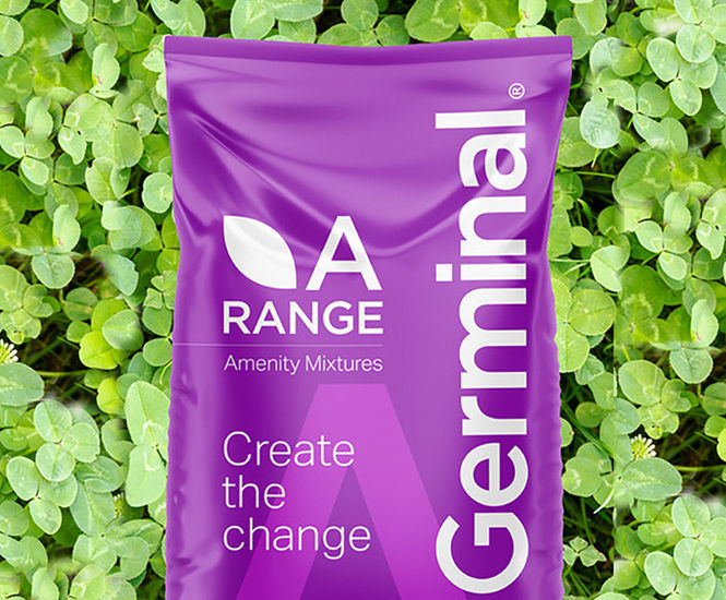 A17 Legume and Clover - grass seed mixture for poor sites | Germinal ...