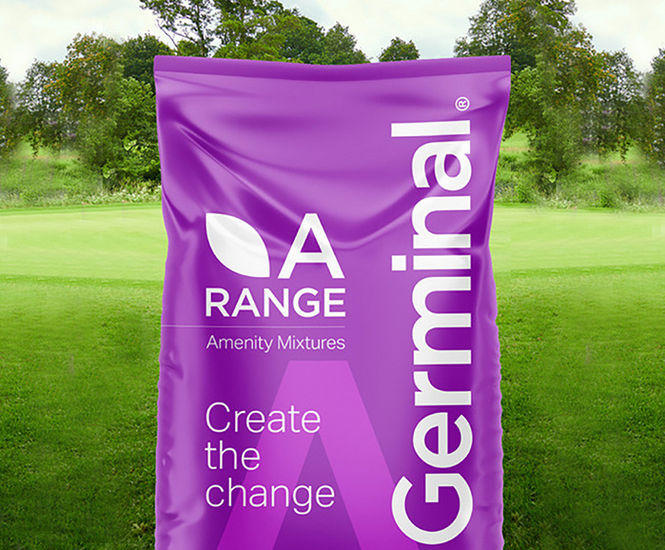 A28 Ultrafine Ryegolf - ryegrass seed mix for golf courses | Germinal ...