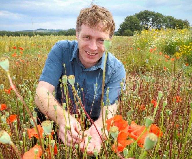 Spring is finally here, it's time to sow wildflower seed | Meadowmania UK
