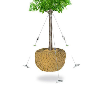 ArborGuy Drive-In Rootball Anchor - underground tree anchoring system ...