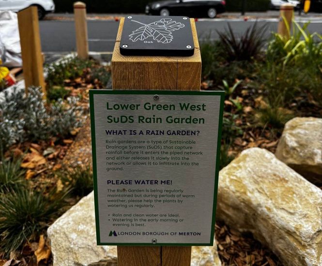 Lower Green West Rain Garden | Meristem Design