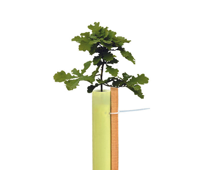 Oceanos - recycled plastic tree shelter | Rainbow Professional