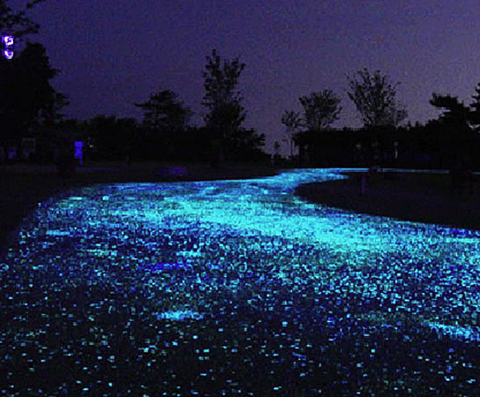 Glow in the night store