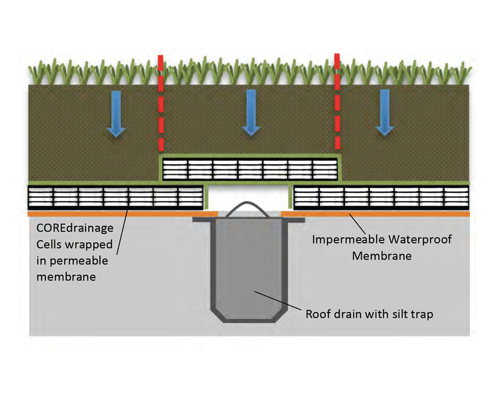 Images for CORE DRAINAGE cells for roof gardens and green roofs