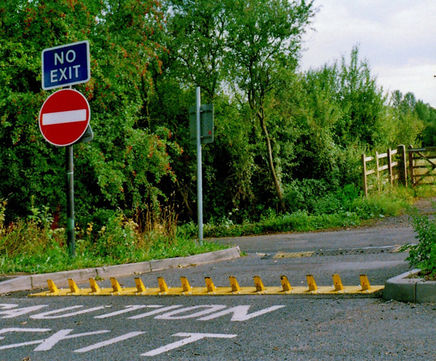 alligator teeth road