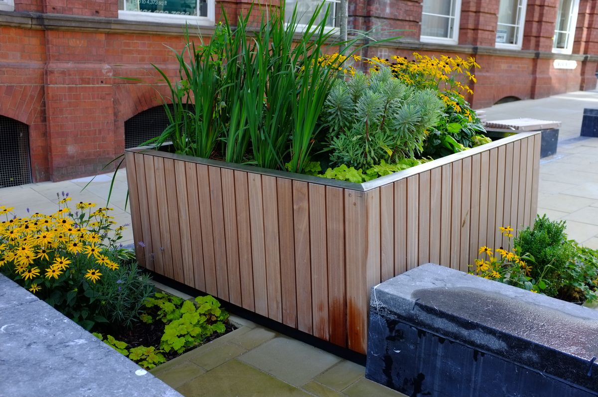 TREE planter | Images