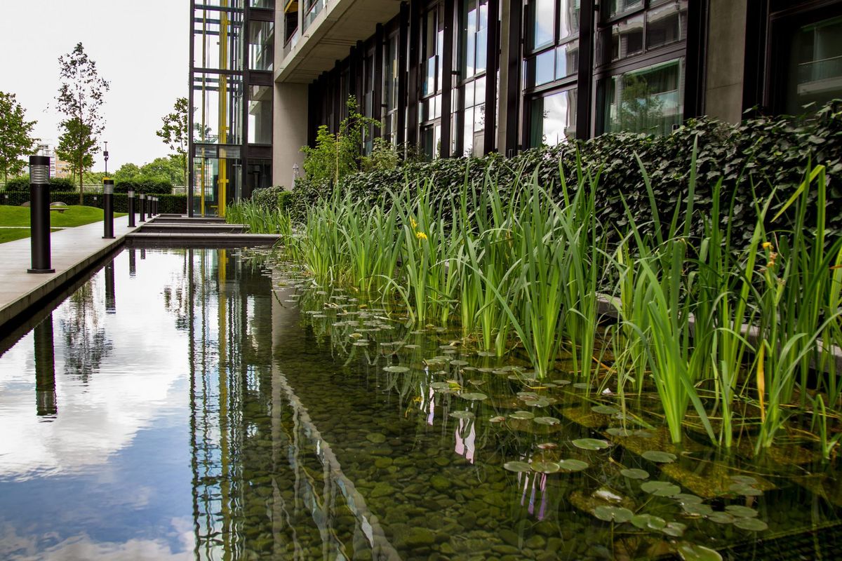 Eleven water features for Riverlight development | Images