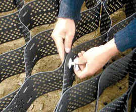 Geoweb® tree root protection system | Greenfix Soil Stabilisation ...