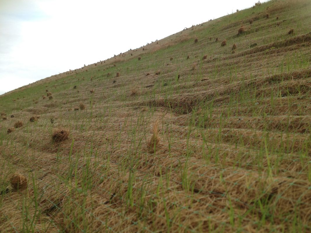 Images for Covamat™ Fresh pre-seeded erosion control blankets