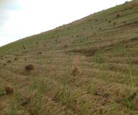 Covamat™ Plus and F3 pre-seeded erosion control blankets | Greenfix ...