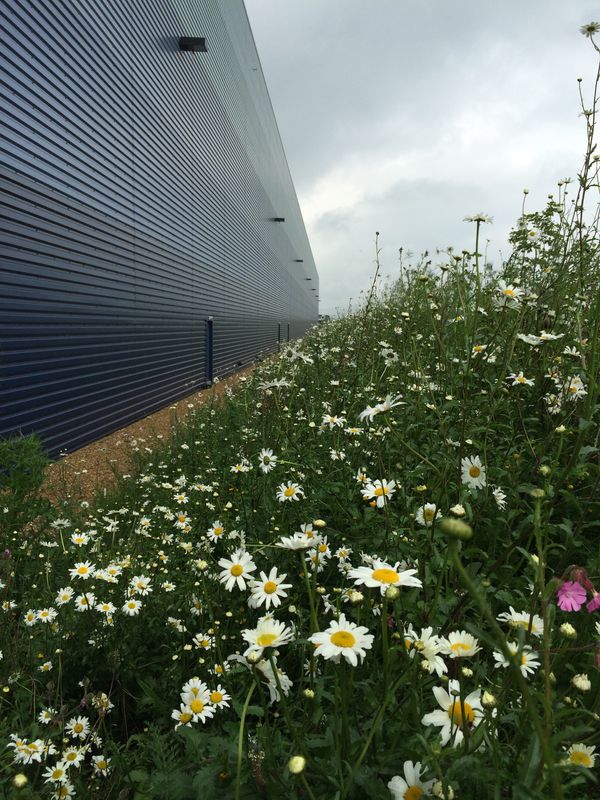 Images for Covamat™ Fresh pre-seeded erosion control blankets