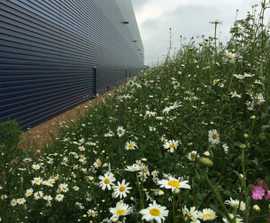 Covamat™ Fresh pre-seeded erosion control blankets | Greenfix Soil ...