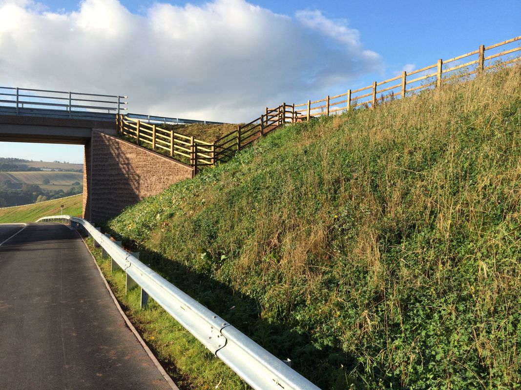 Images for Geoweb® Slope Protection - Case Study Crediton