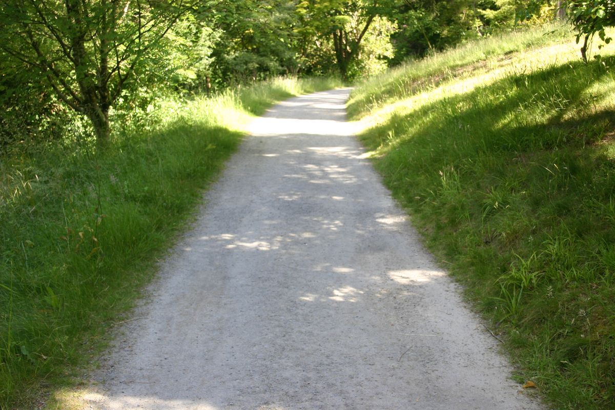 Images for Geoweb® Tree Root Protection - Case Study Bodnant Garden