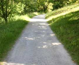 Geoweb® Tree Root Protection - Case Study Bodnant Garden | Greenfix ...