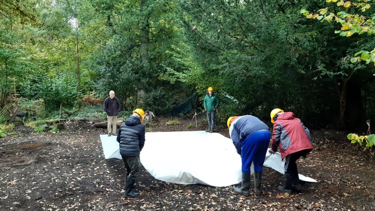Images for Tree root protection for Westonbirt Arboretum project