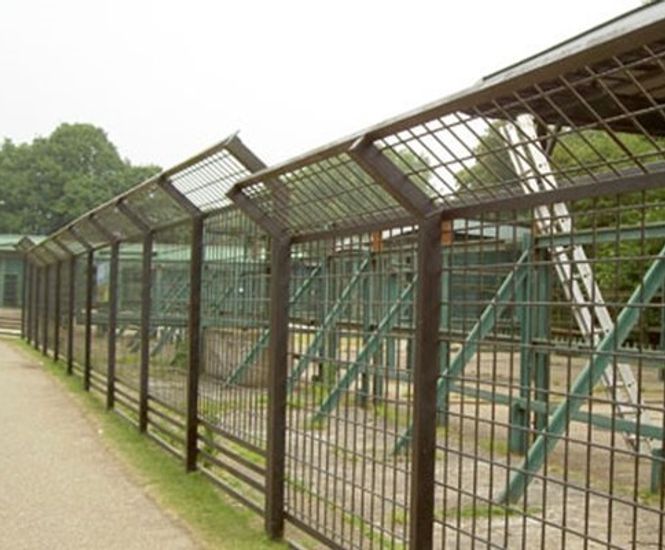 Bespoke elephant cage and fencing for wild animal park | Jacksons Fencing