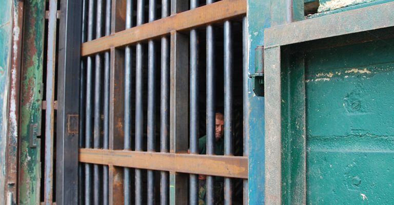 Bespoke elephant cage and fencing for wild animal park | Images