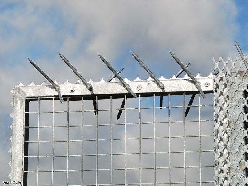 Images for Viper-Spike® high security fence / wall topping