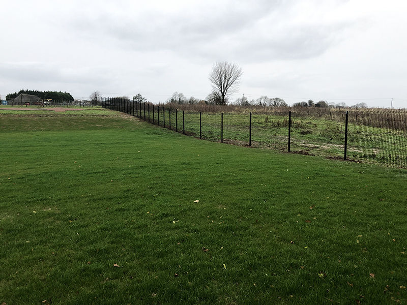 EuroGuard® Regular mesh fencing secures school perimeter | Jacksons ...