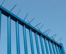 Viper-Spike® high security fence and wall topping | Jacksons Fencing
