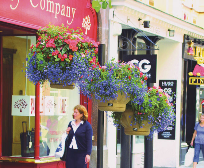 Imperial self-watering hanging baskets (IMP-0P) | Amberol