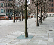 Tree pit access covers | Howe Green