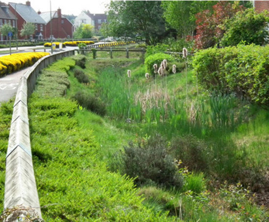 SuDS scheme, housing development, Hampshire | Images