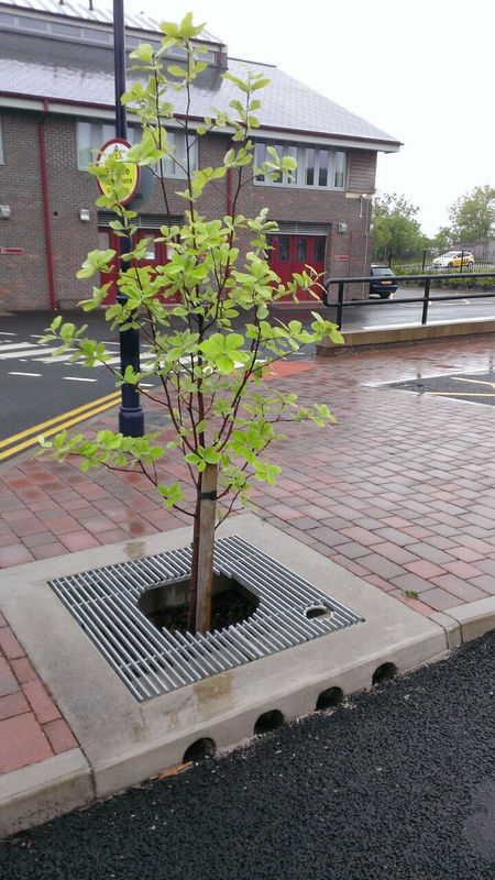 Hydro Biofilter™ bioretention system | Images