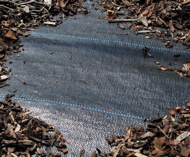 Covertex™ weed control ground cover fabric | Hy-Tex