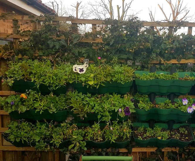 VertiVerd - vertical green wall modules for domestic use | Hy-Tex