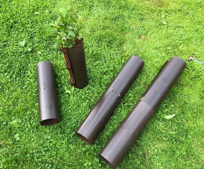 Hy-Tex launch new fully biodegradable Tree-Guard | Hy-Tex