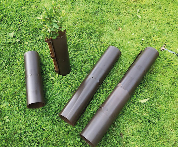 Eco-Haven™ biodegradable bio-polymer tree guards | Images