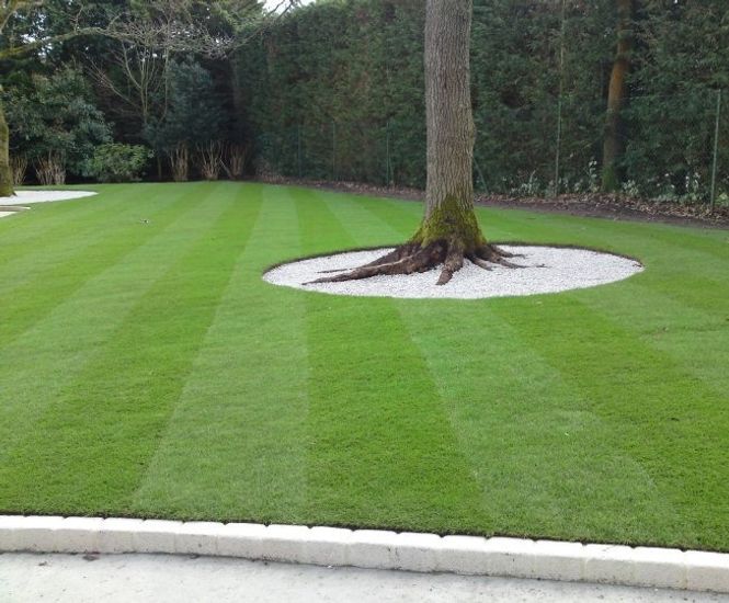 Classic Turf – fine-leaved, durable all-round turfgrass | INTURF™