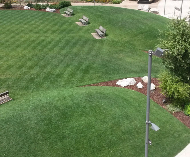 TerraCottem® Turf soil conditioner | INTURF™