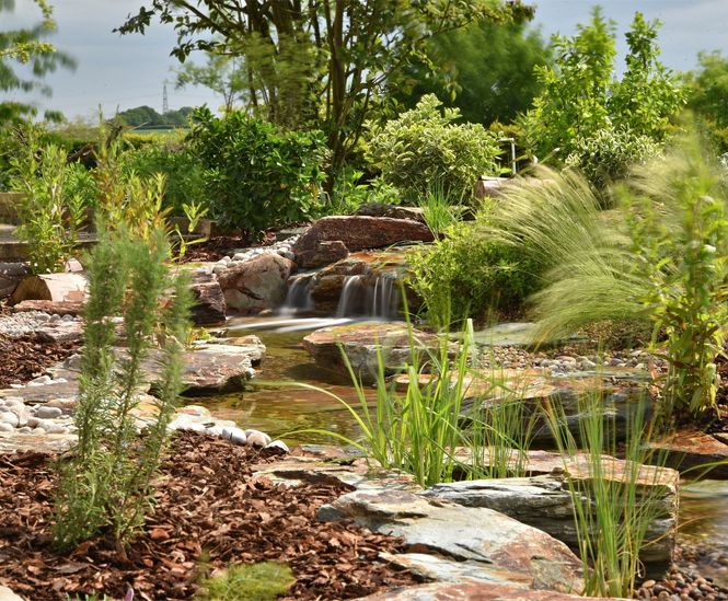 Pond planning service | Anglo Aquatic Plant Co Ltd