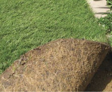 Grassfelt™ erosion control felt | Lindum Turf