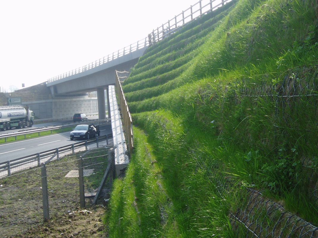 Images for Green Terramesh® for green vegetated soil slopes