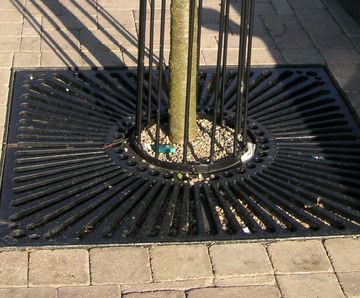 Tree grilles with integral lighting | EXTERNAL WORKS