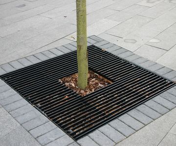 Tree grilles with integral lighting | EXTERNAL WORKS